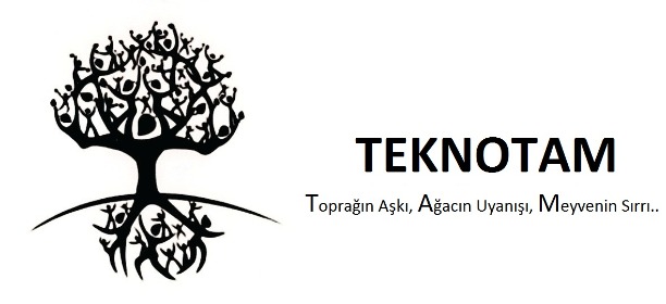 Teknotam Yazılım Uzmanı İş İlanı - 25.11.2021