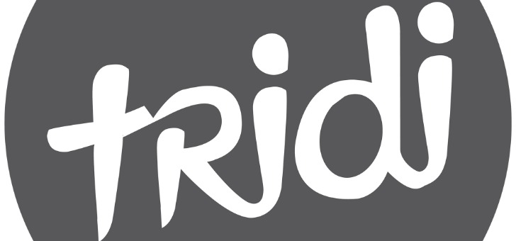 TRİDİ TEKNOLOJİ ANONİM ŞİRKETİ Teknik Proje Sorumlusu İş İlanı - 25.03.2022