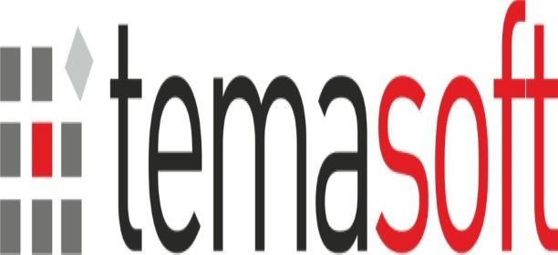 Temasoft Ltd.Şti Proje Uygulama Uzmanı İş İlanı - 03.03.2022