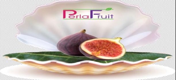 PERLA FRUIT GIDA İnsan Kaynakları Yöneticisi / Yönetmeni İş İlanı - 03. ...