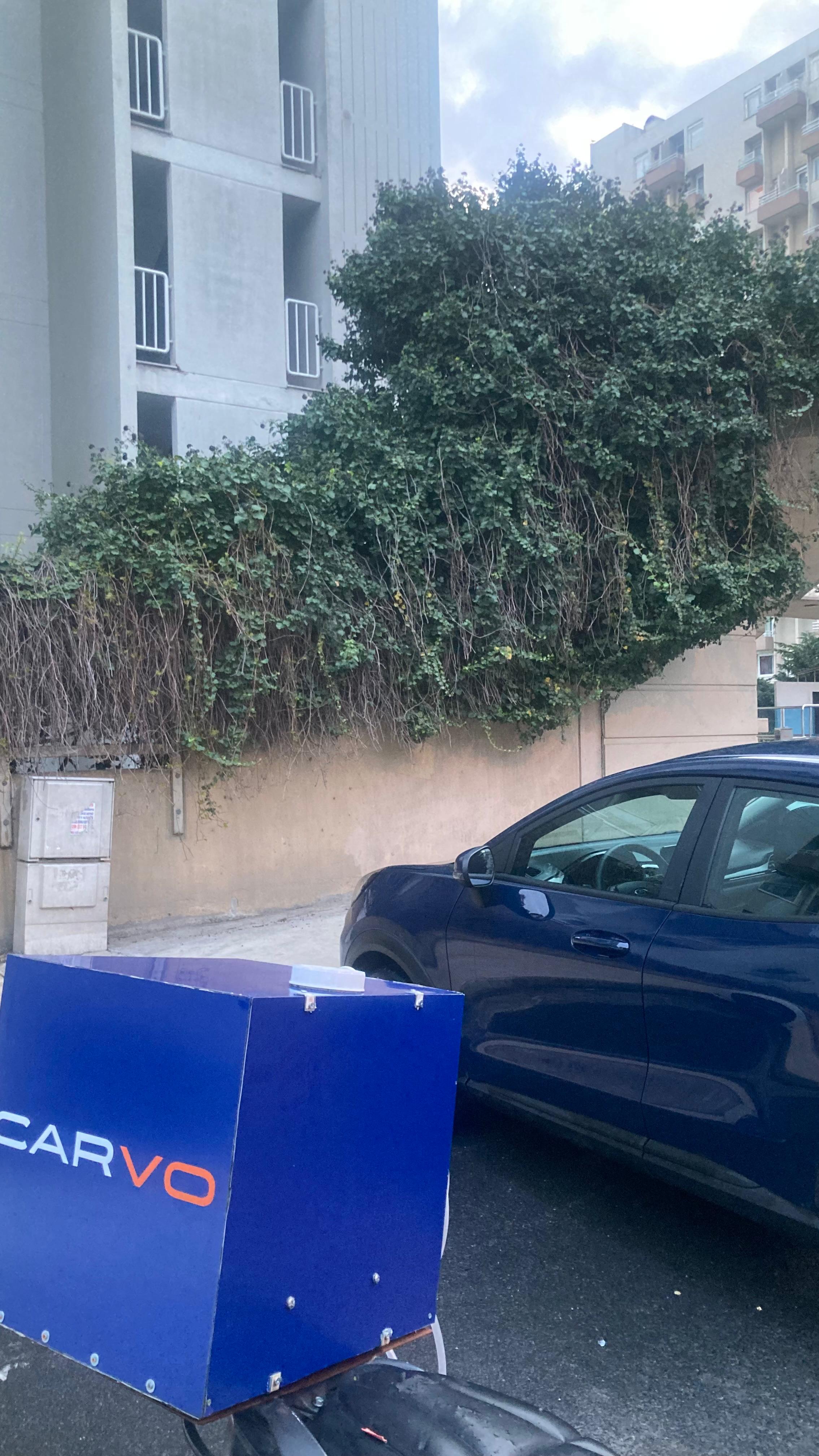 Carvo İş İlanları - Kariyer.net